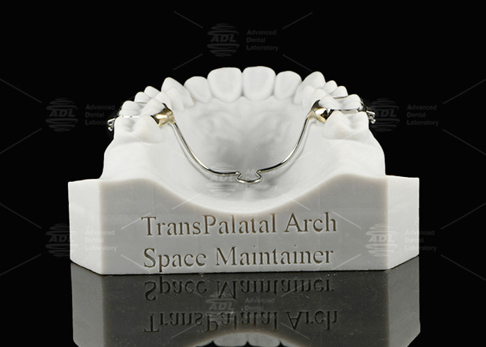 ADL Transpalatal Arch Space Maintainer Removable Space Maintaining Arch